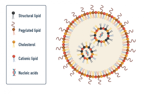 Microfluidic lipid nanoparticle synthesis system | DLLEADERLAB